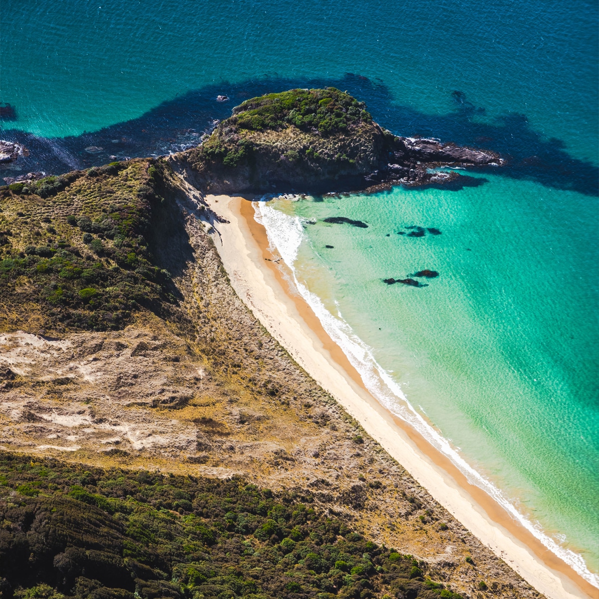Stewart Island Scenic Flights | Glenorchy Air