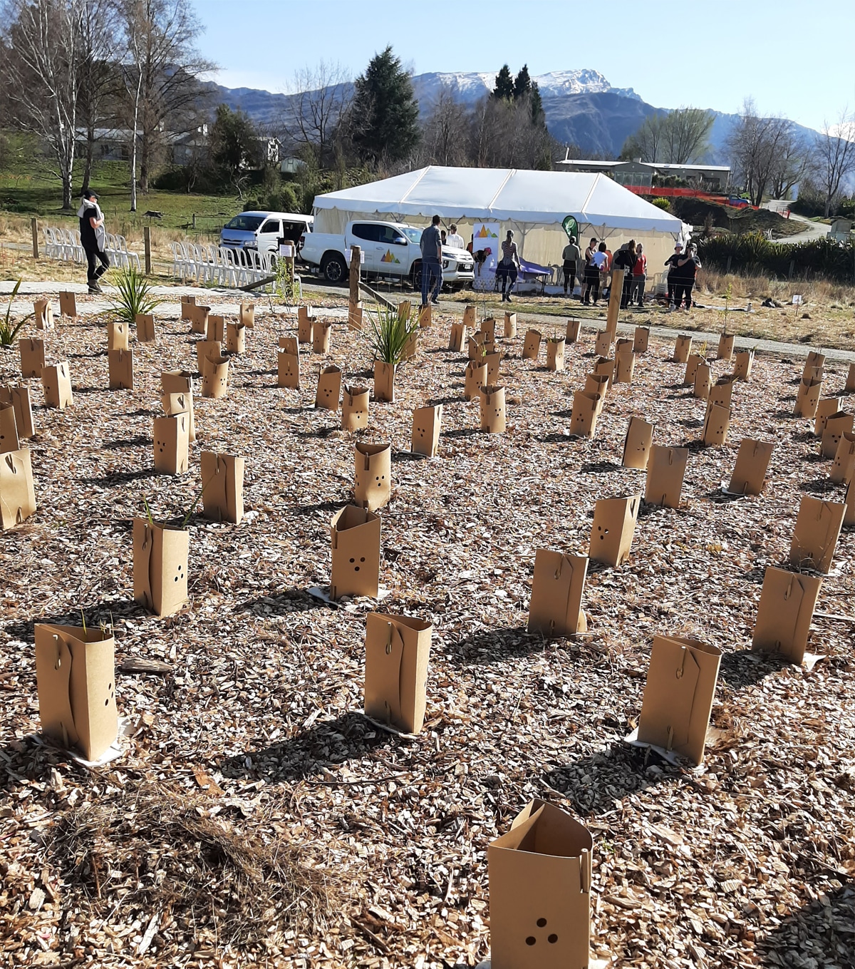 Tree Planting Day with Love Queenstown and Mana Tāhuna Charitable Trust ...